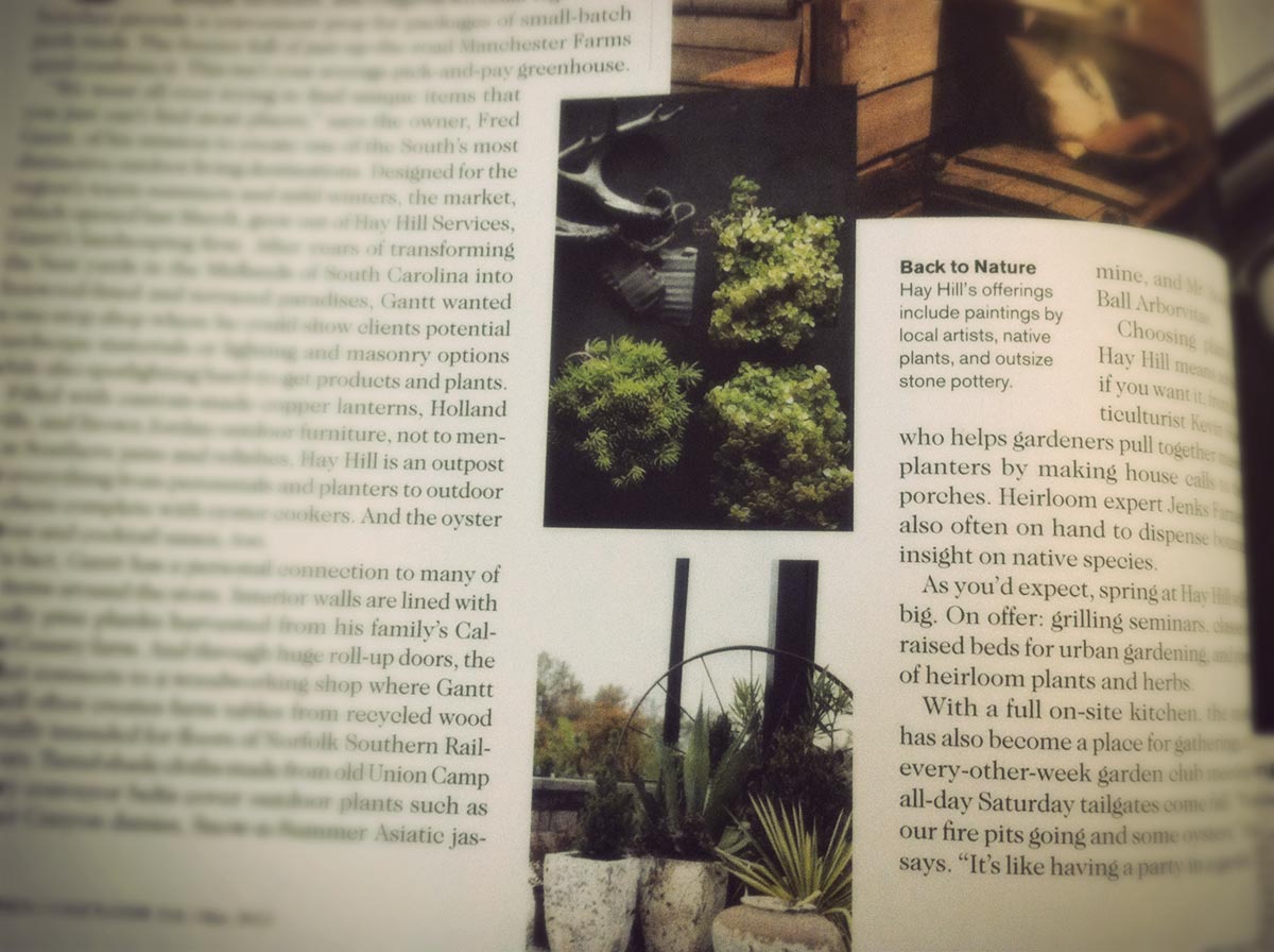 Magazine design principles applied to web design